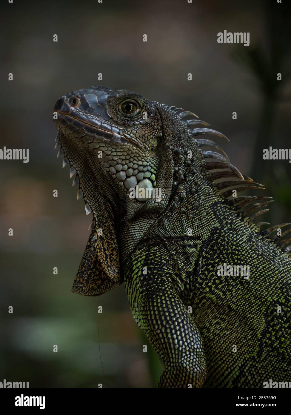 Botanical garden of medellín hi-res stock photography and images - Alamy