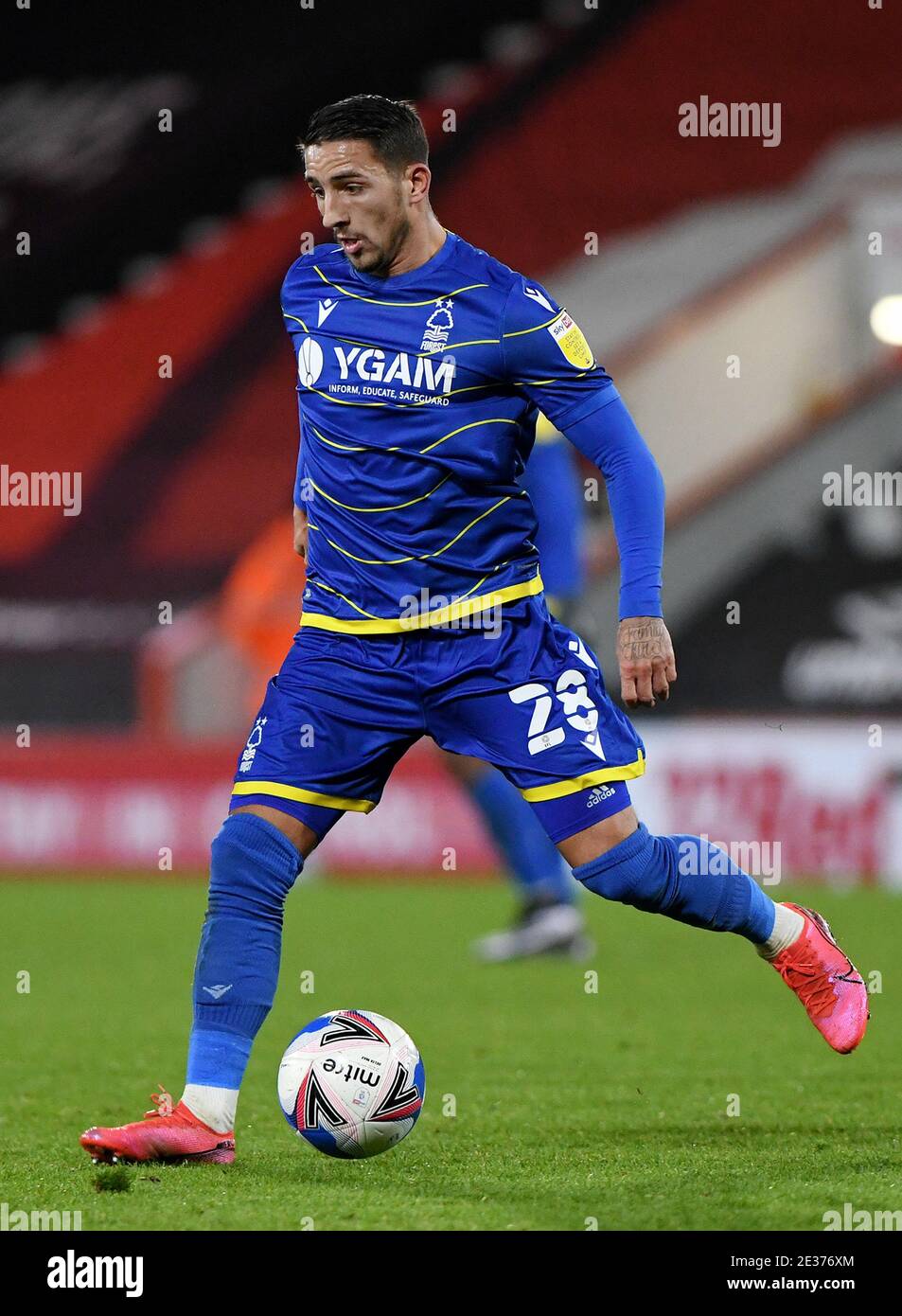 Anthony knockaert forest hi-res stock photography and images - Alamy