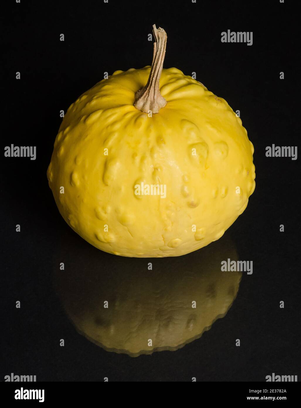 Yellow textured pumpkin on a black mirror background close-up Stock ...