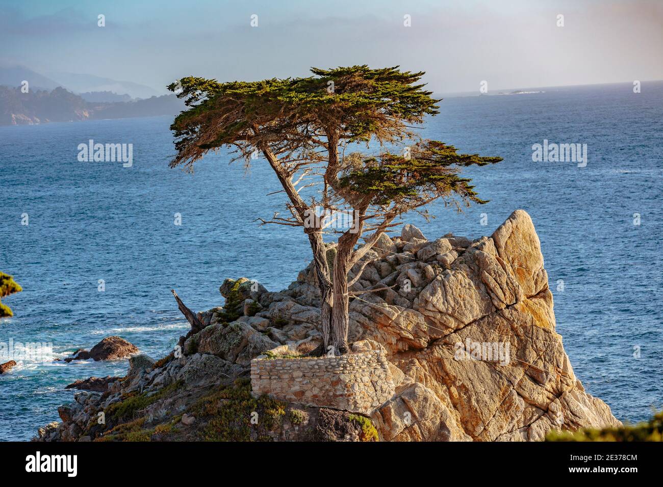 Pebble Beach, California, February 17, 2018: The Lone Cypress is an ...