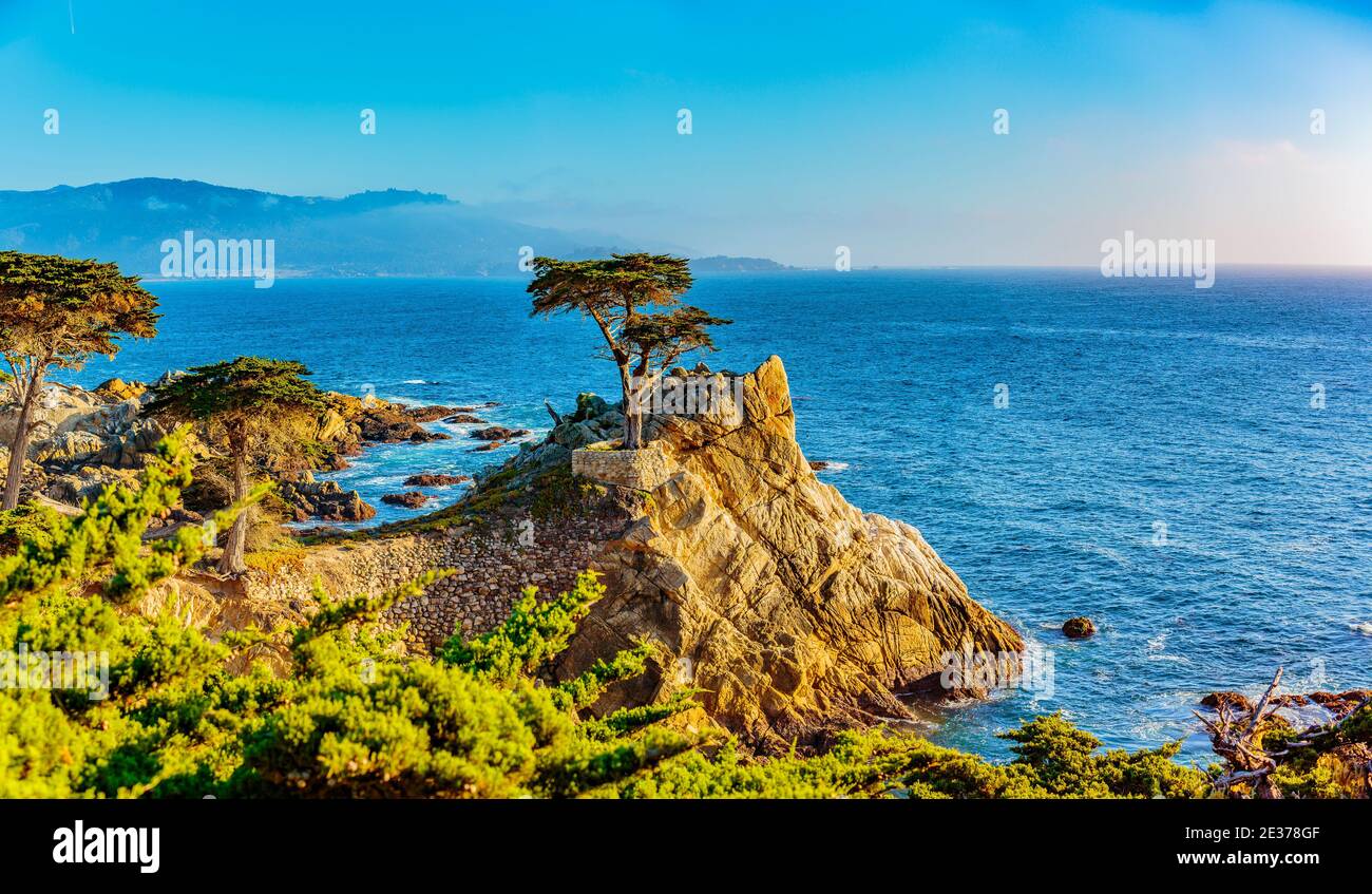 Pebble Beach, California, February 17, 2018: The Lone Cypress is an ...