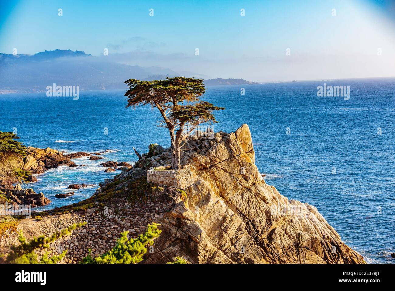Pebble Beach, California, February 17, 2018: The Lone Cypress is an ...