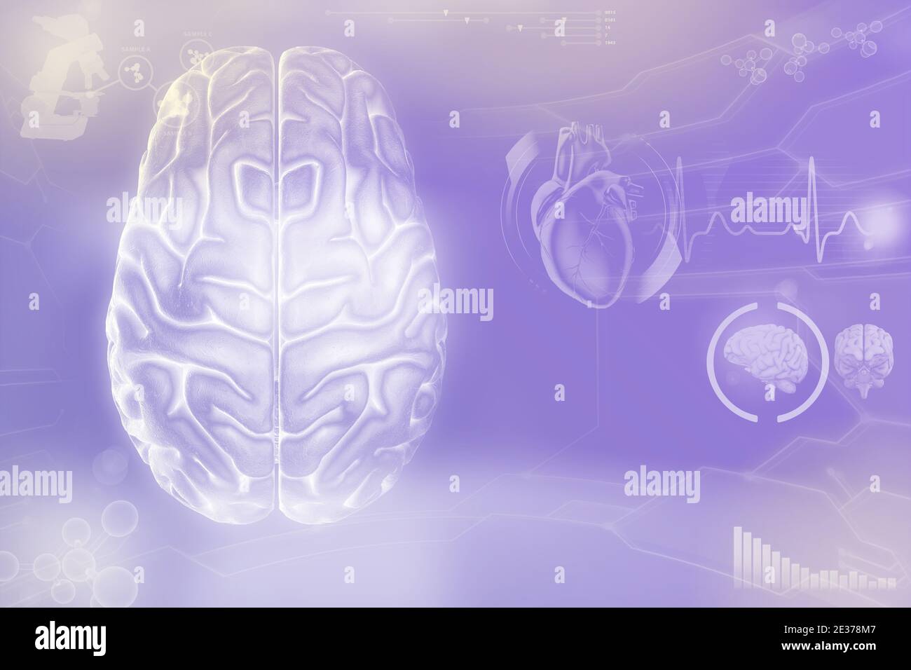 Medical 3D illustration - human brain, mental work concept - highly ...