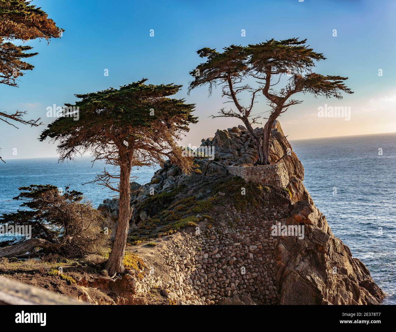 Pebble Beach, California, February 17, 2018: The Lone Cypress is an ...
