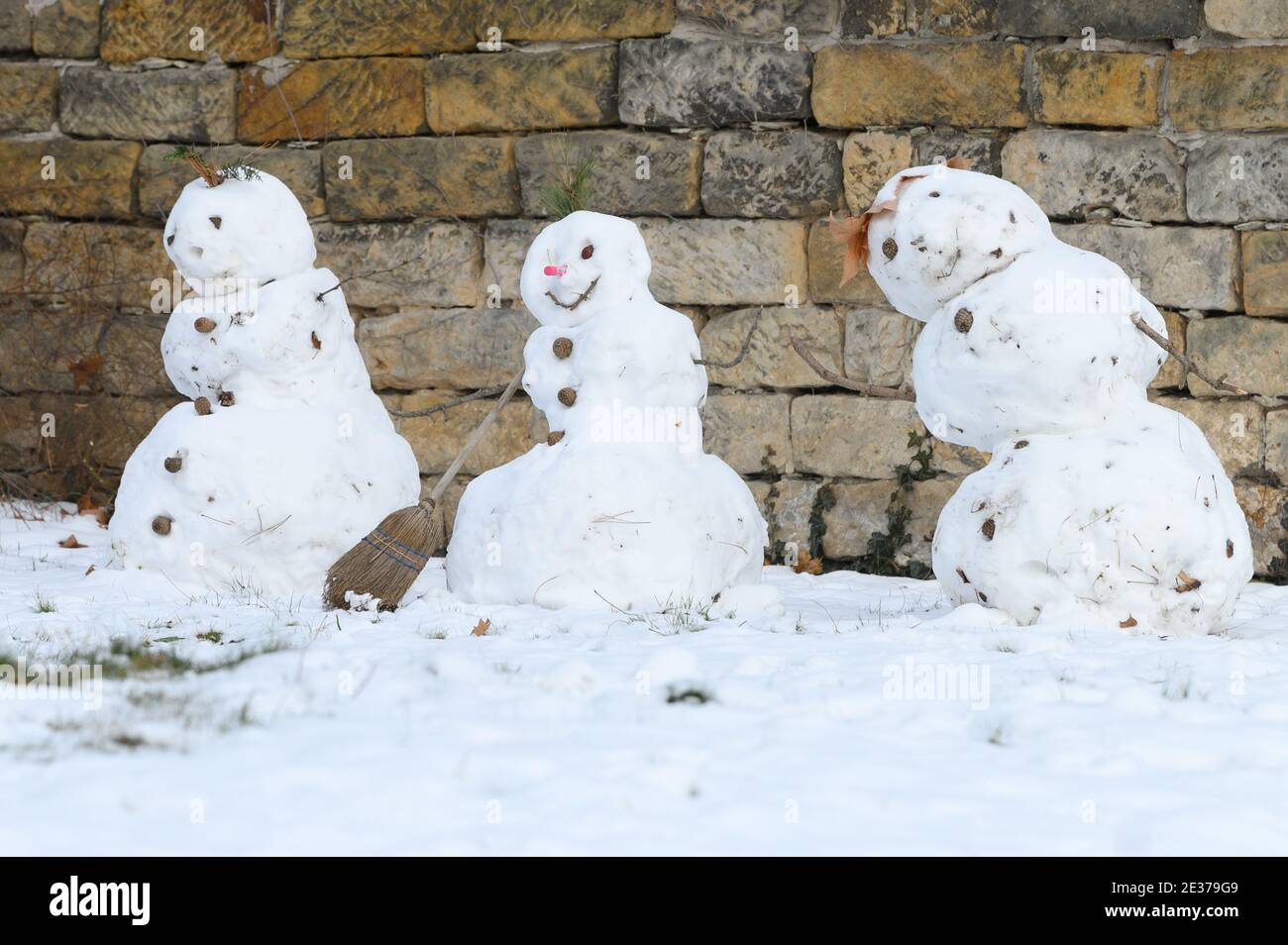 Dresden, Germany. 17th Jan, 2021. Three snowmen stand side by side in a ...