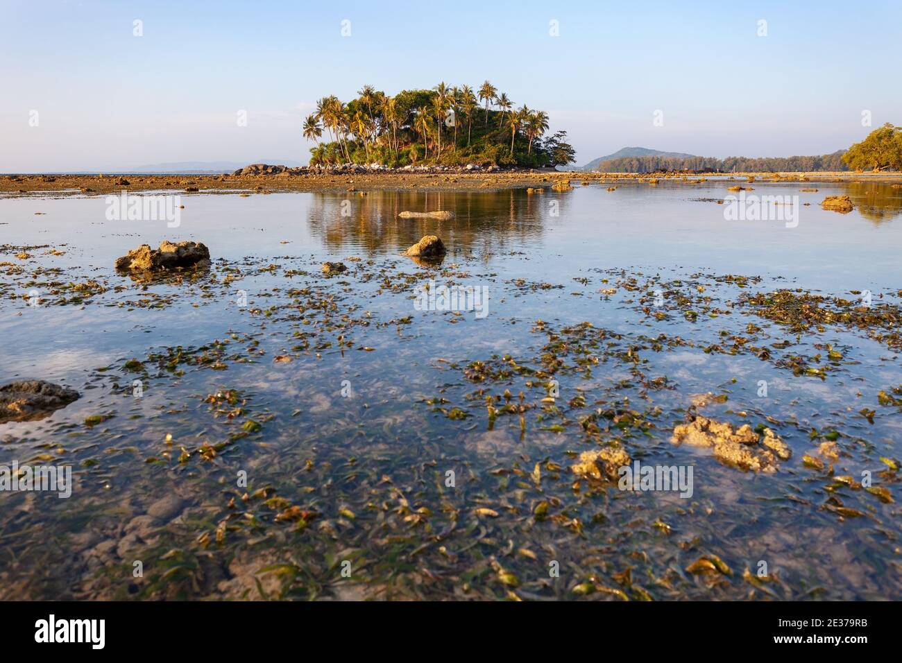 Coconut trees and very small island in the background hi-res stock ...