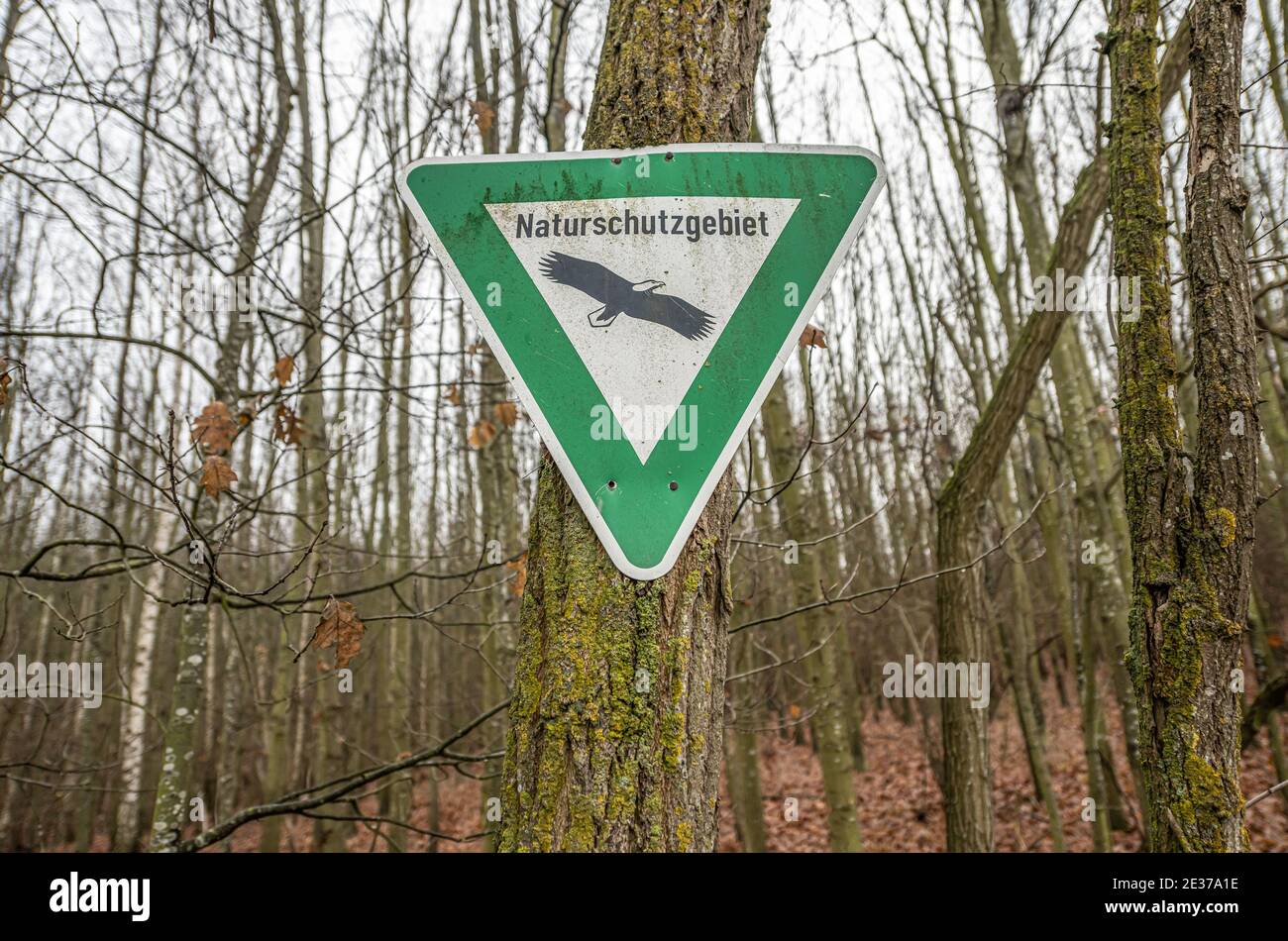 old rusty vintage forgotten german sign in forest translation ...