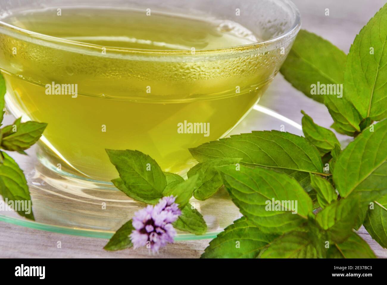 Pfefferminztee hi-res stock photography and images - Alamy