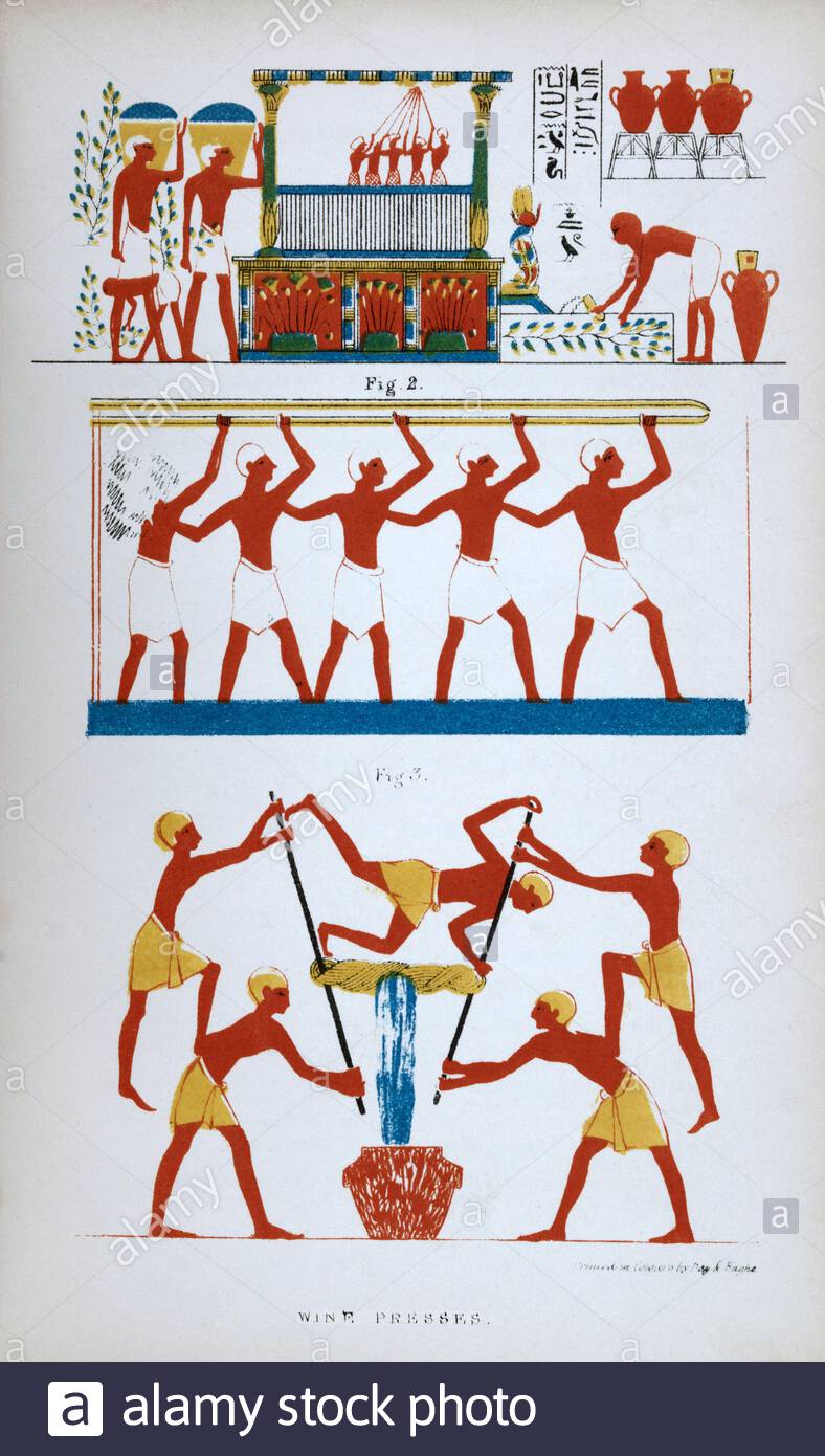 Ancient Egypt, Wine Pressing, vintage illustration from 1837 Stock ...