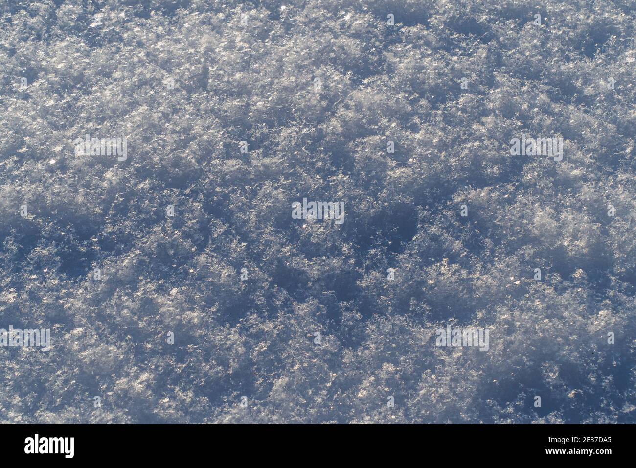 Fresh fallen snow hi-res stock photography and images - Alamy
