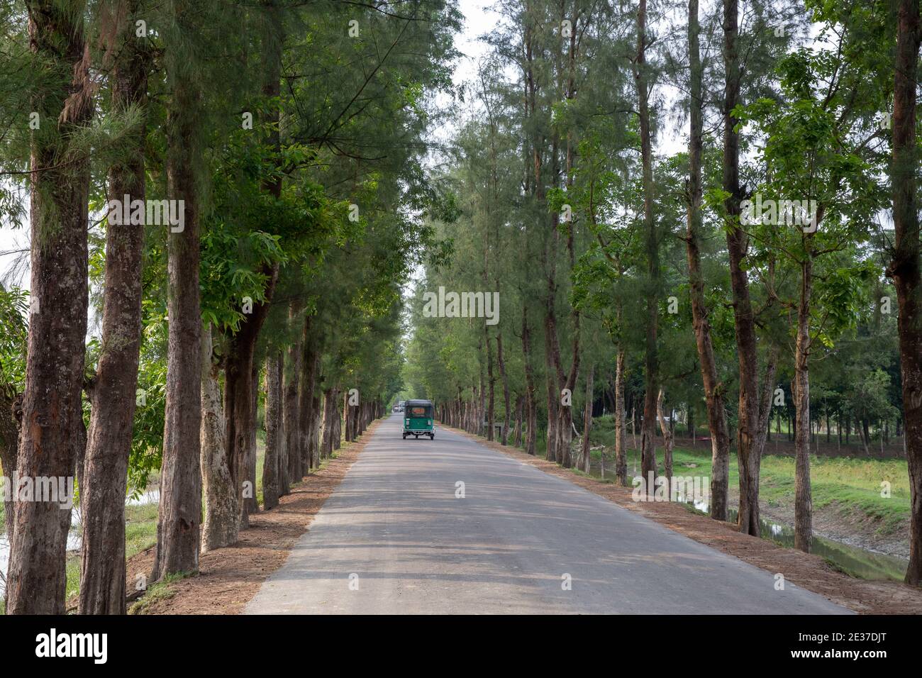 A beautiful road at Noakhali, Bangladesh Stock Photo - Alamy