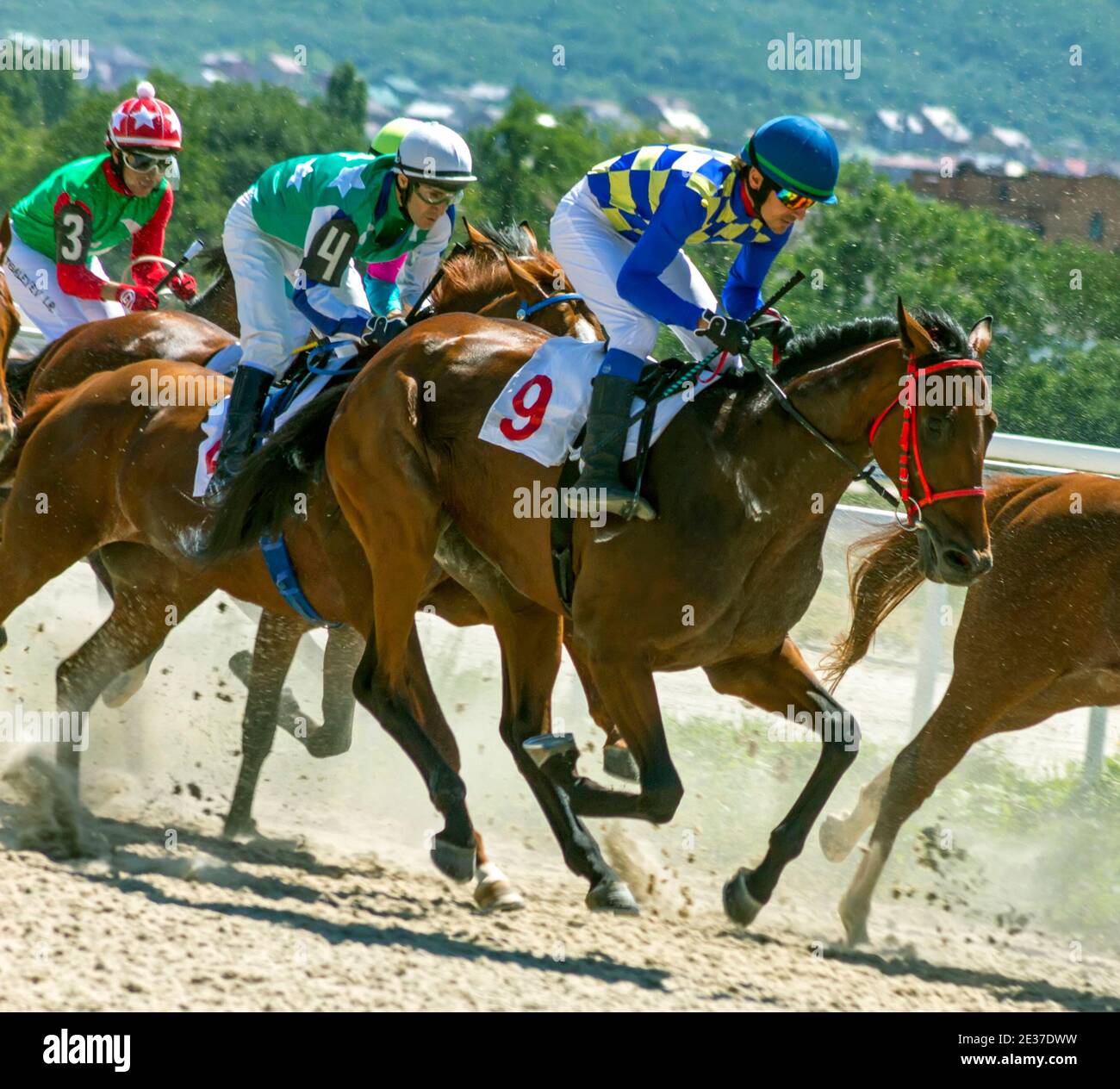 Russian racehorse hi-res stock photography and images - Alamy