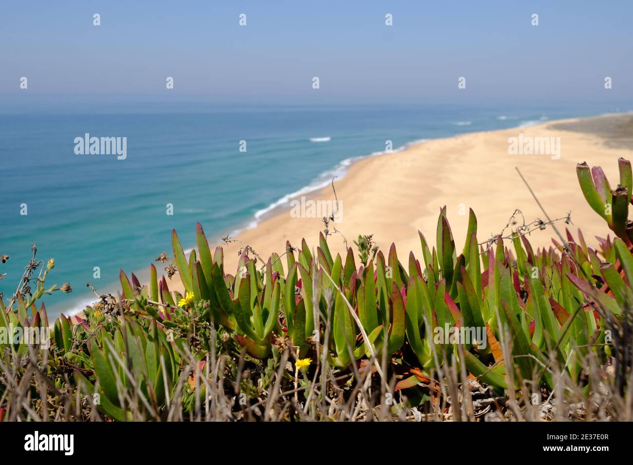 North beach of nazare hi-res stock photography and images - Alamy