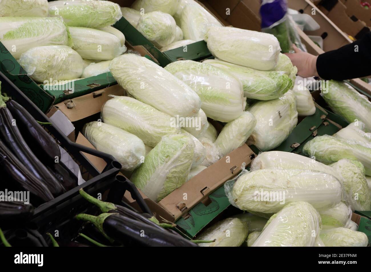 Chinese cabbage in boxes at grocery store Stock Photo - Alamy