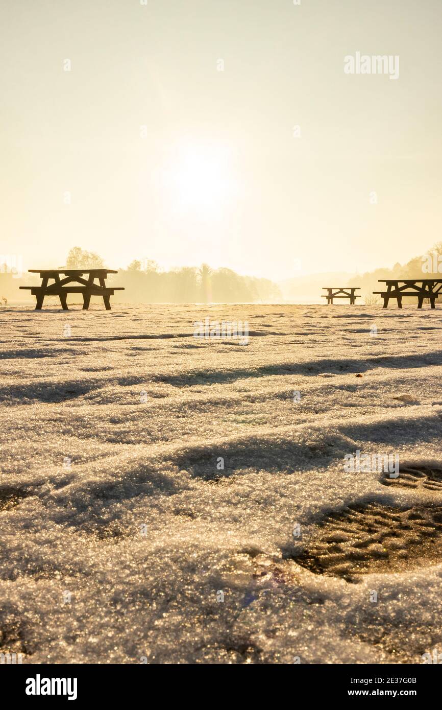 benches by lake in early morning sun in wintry scene at Trentham Garden ...