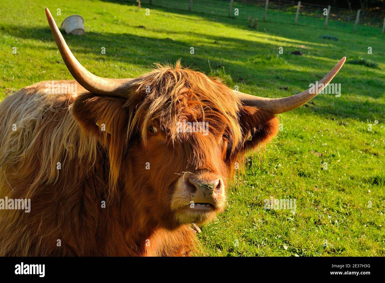 Almond valley scotland hi-res stock photography and images - Alamy