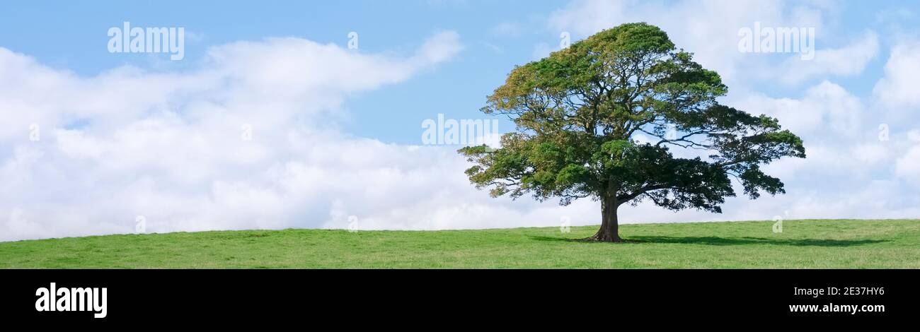 Beautiful british countryside hi-res stock photography and images - Alamy
