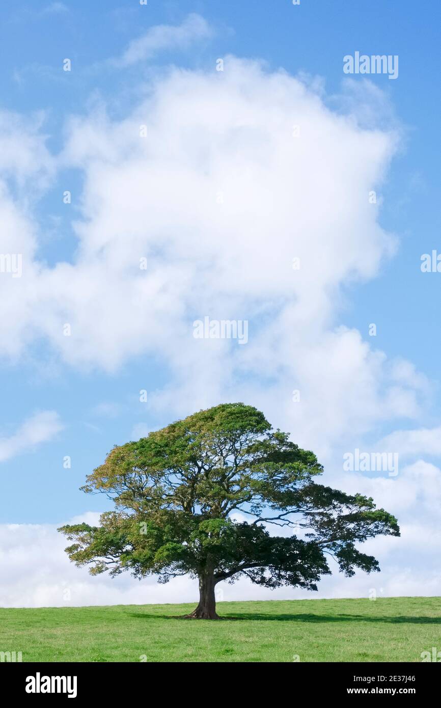 Beautiful british countryside hi-res stock photography and images - Alamy