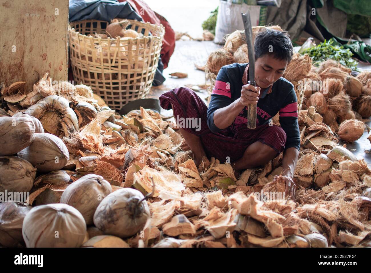 A young man in traditional longyi sitting and chopping coconuts at a ...