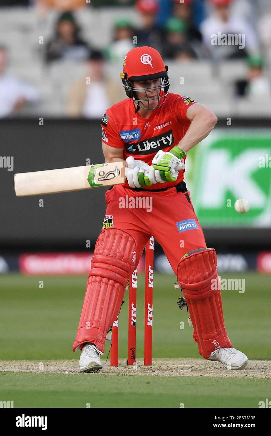 Sam harper melbourne renegades hi-res stock photography and images - Alamy