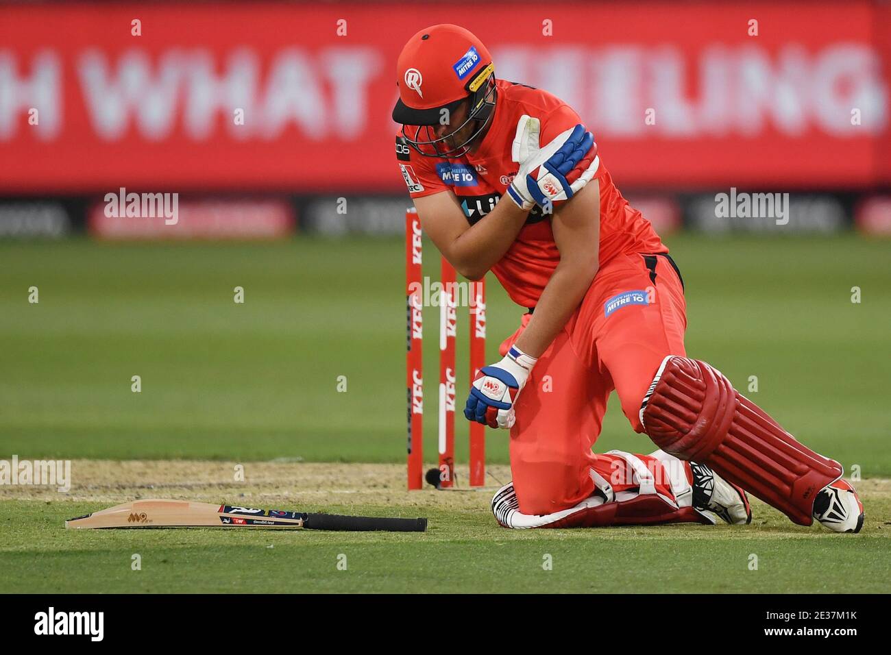 Seb gotch hi-res stock photography and images - Alamy