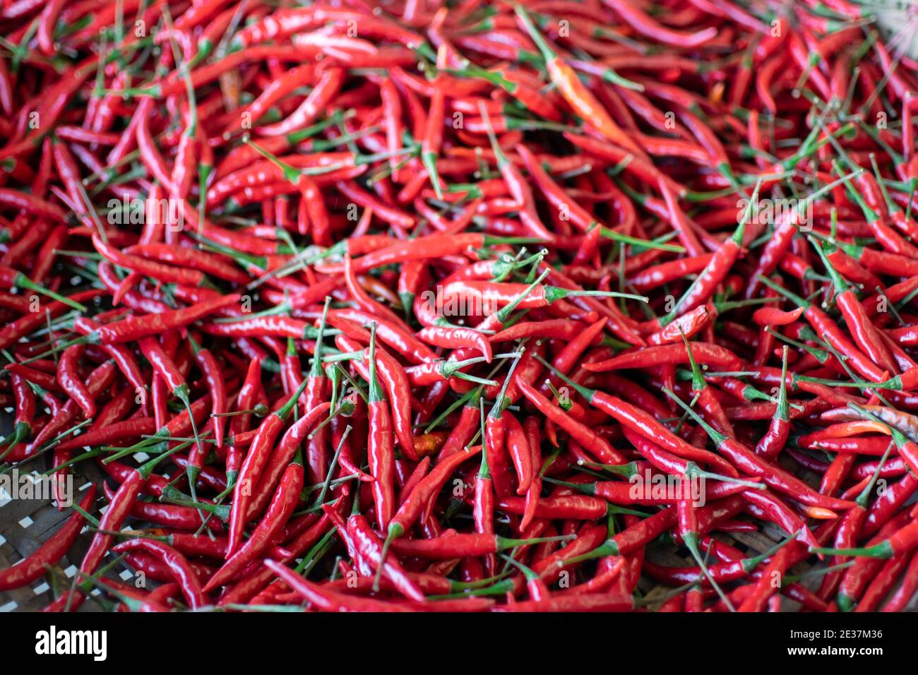 Close up of fresh red hot chilli peppers with green detail stems at a ...