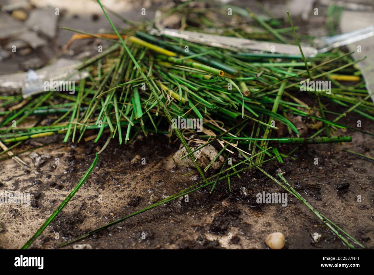 Broken jar hi-res stock photography and images - Alamy