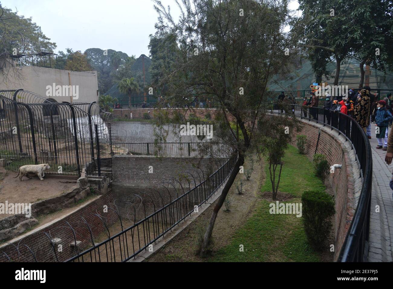 Lahore, Pakistan. 17th Jan, 2021. Pakistani visitors arriving at Lahore ...