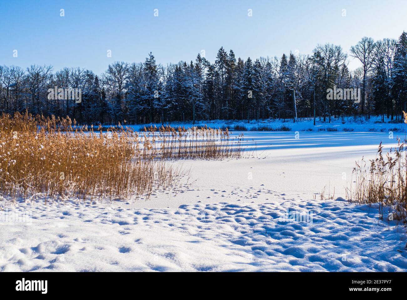 Beautiful Winter Snowy Landscape on the Lake Stock Photo - Alamy