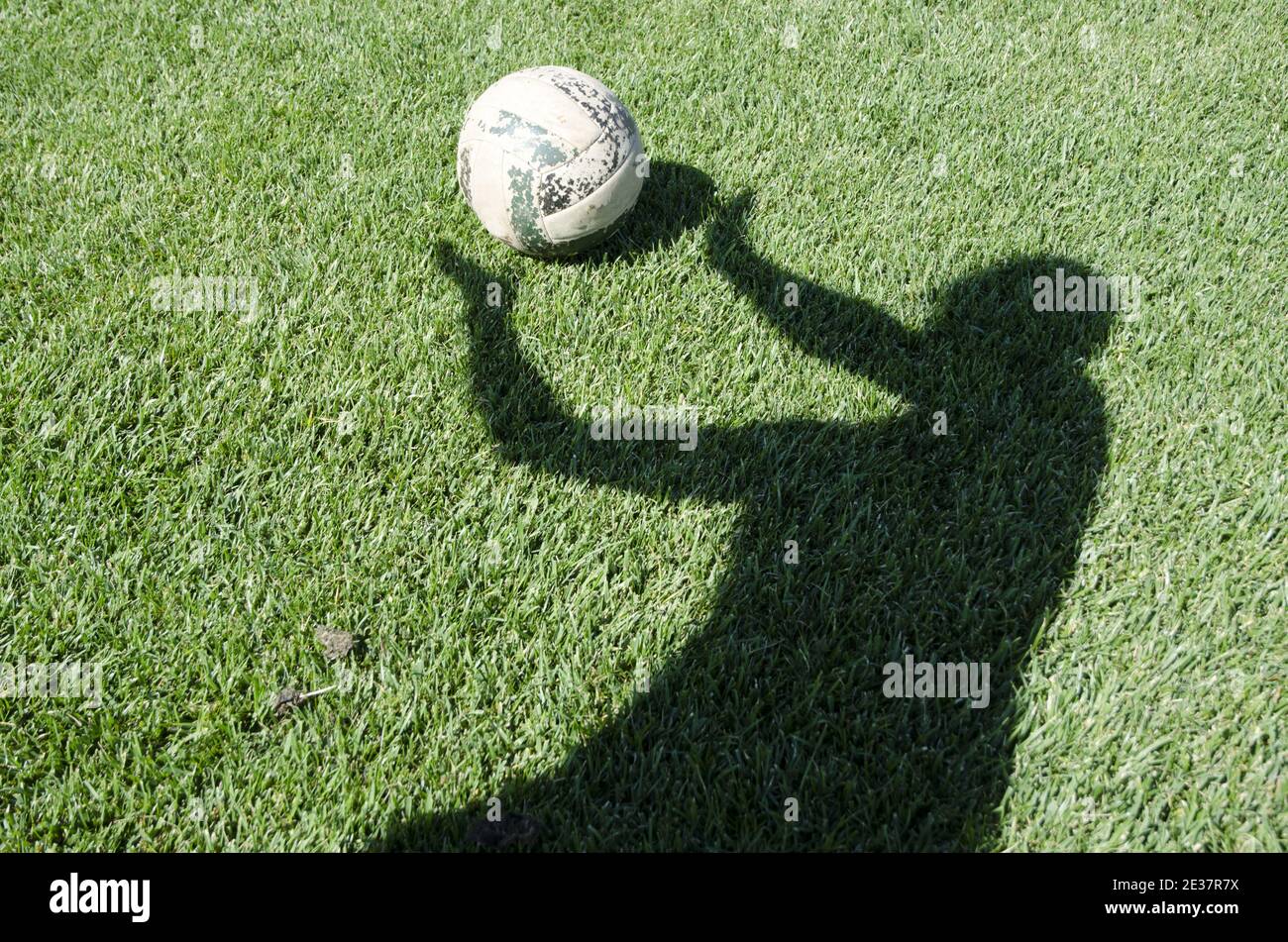 Shadow Playing Football on the Green Grass Stock Photo - Alamy