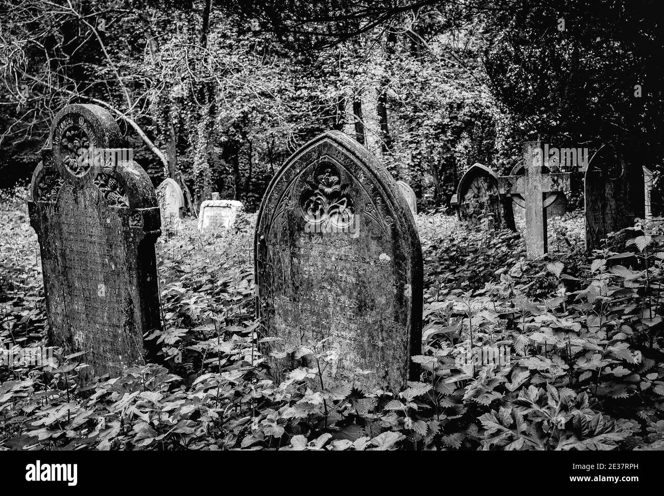 Gothic headstone hi-res stock photography and images - Alamy