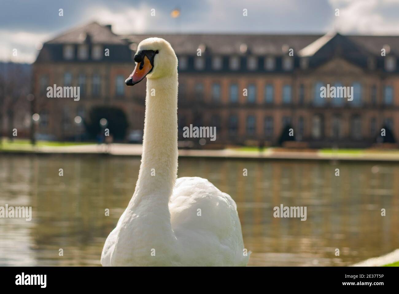 Fountain on schlossplatz and new palace hi-res stock photography and ...