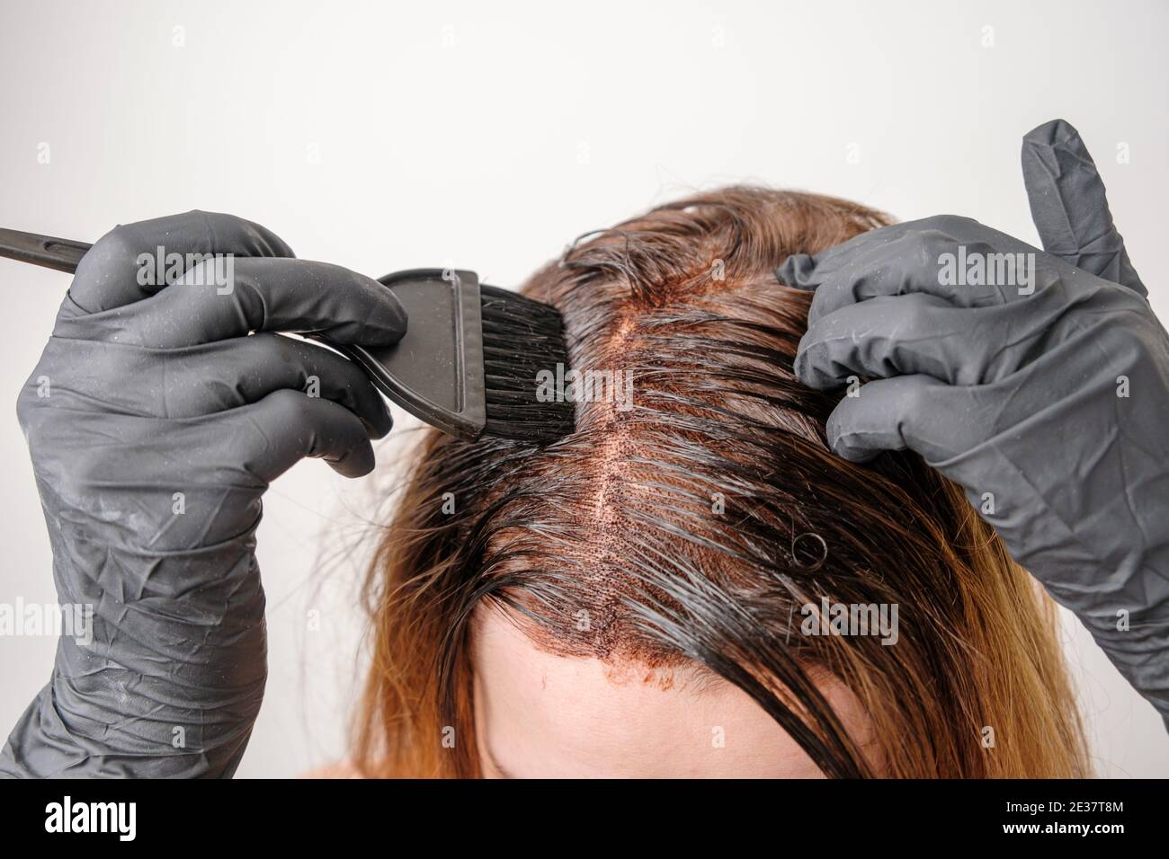 Woman applying a color tint to the brown hair using a brush. Dyeing of ...