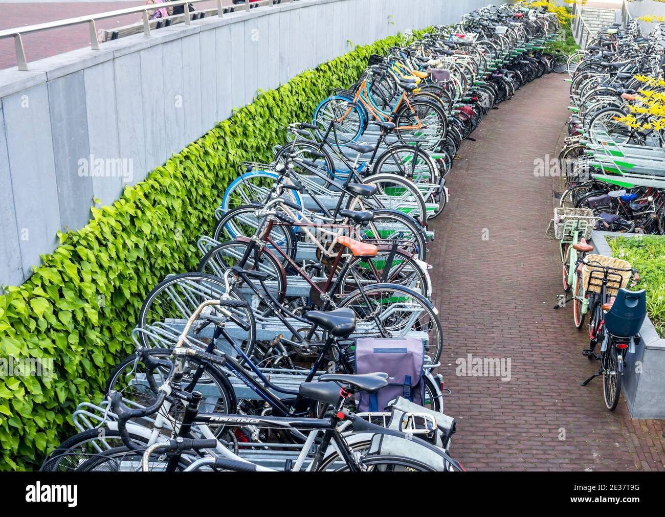 ROTTERDAM, NETHERLANDS: bicycle storage, park, at Blaak railway station ...