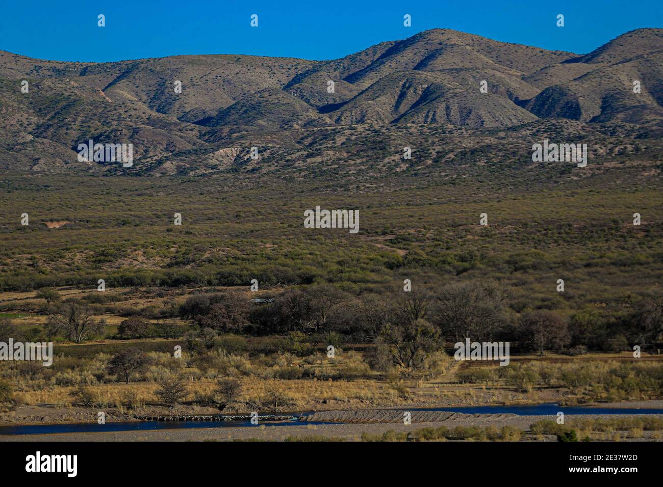 Bacerac hi-res stock photography and images - Alamy