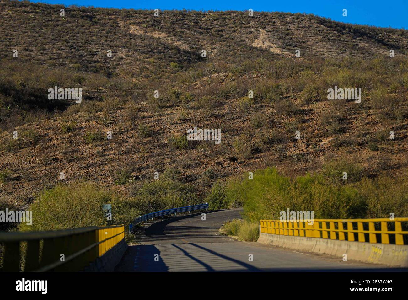 Bacerac, Sonora, Mexico. (Photo By NortePhoto.com Stock Photo - Alamy