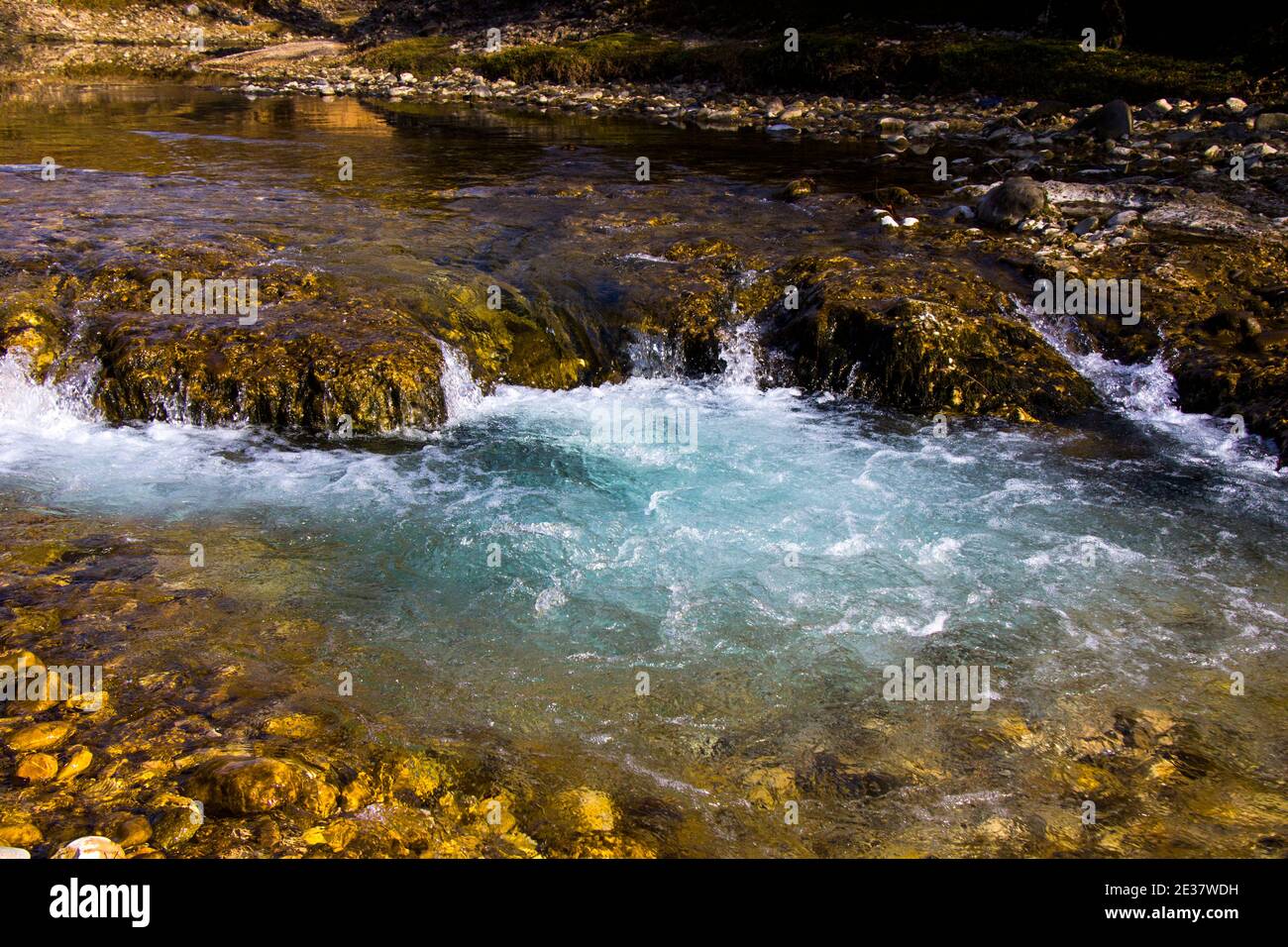 River landscape and view, daylight and outdoor, nature background in ...
