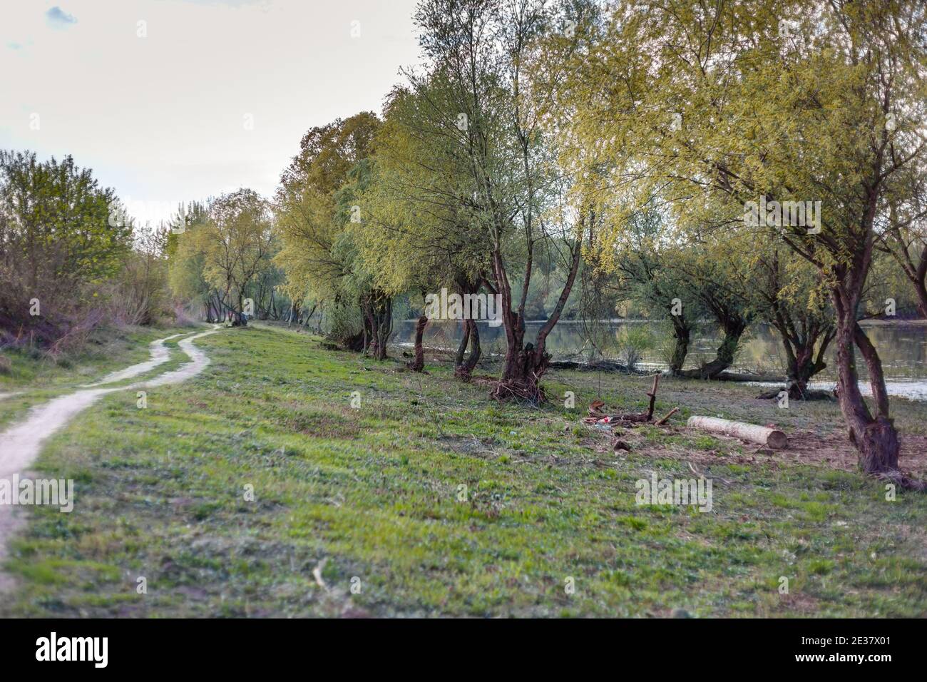 A landscape of pathway along the river Stock Photo - Alamy