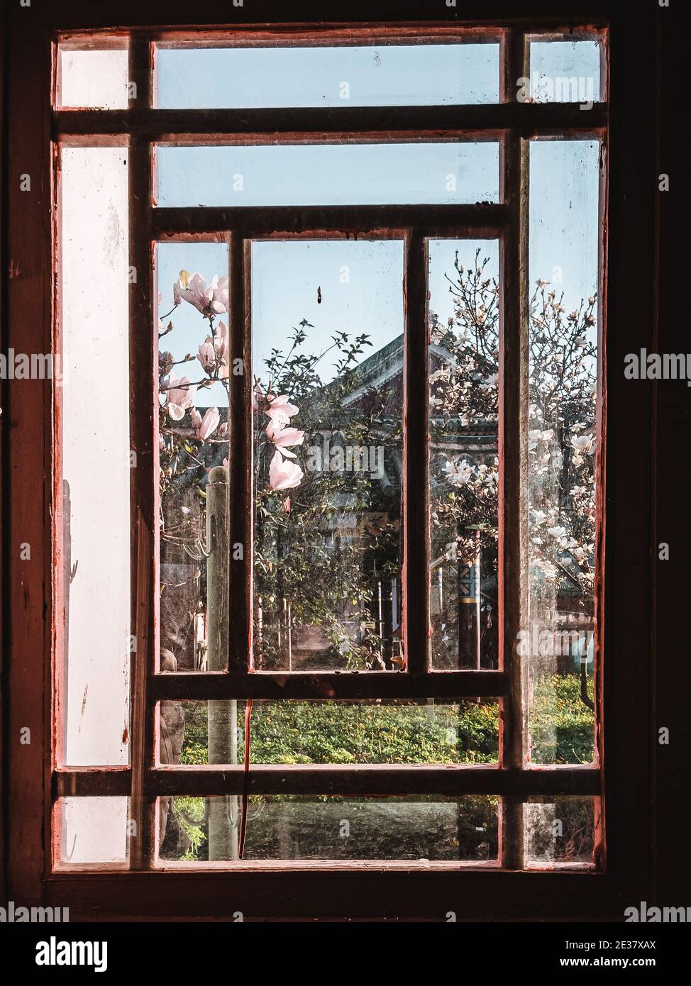 Cherry blossoms through window hi-res stock photography and images - Alamy