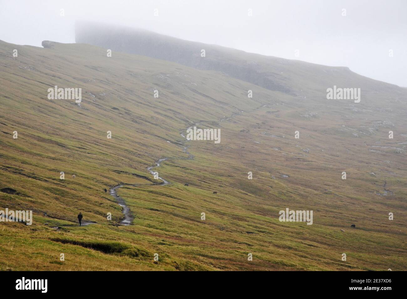 The misty trail leading to Traelanipa Stock Photo - Alamy