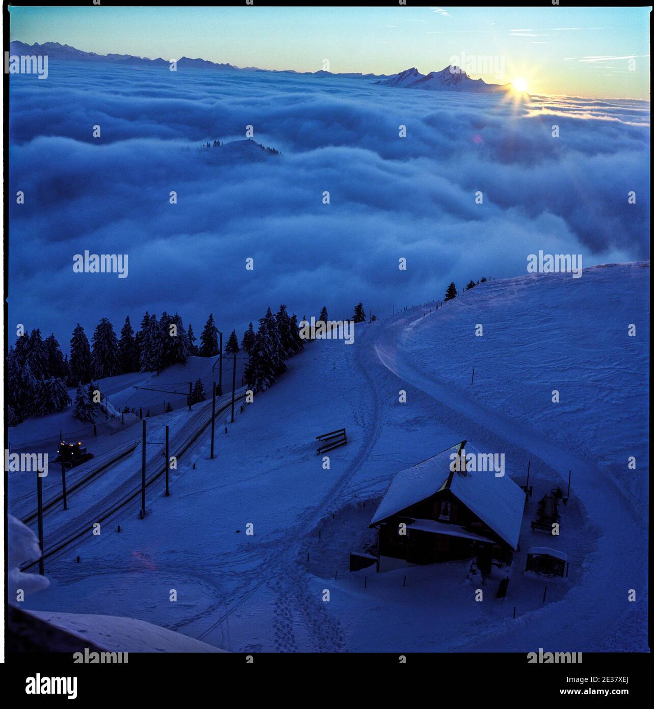 Arctic film hi-res stock photography and images - Alamy