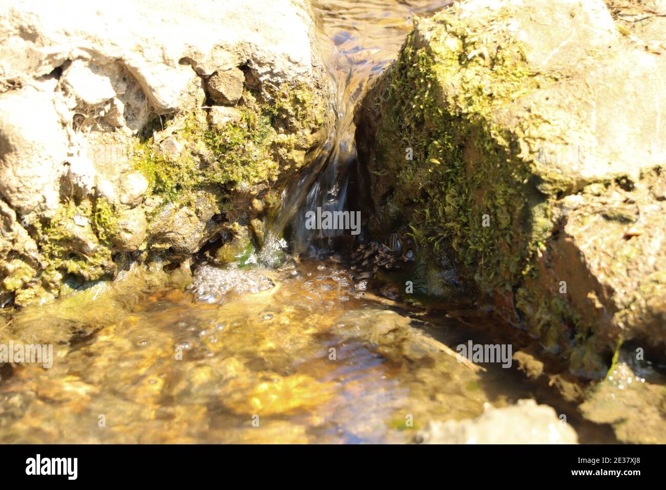 Ground level close up of mud and water sloshing down a stream Stock ...