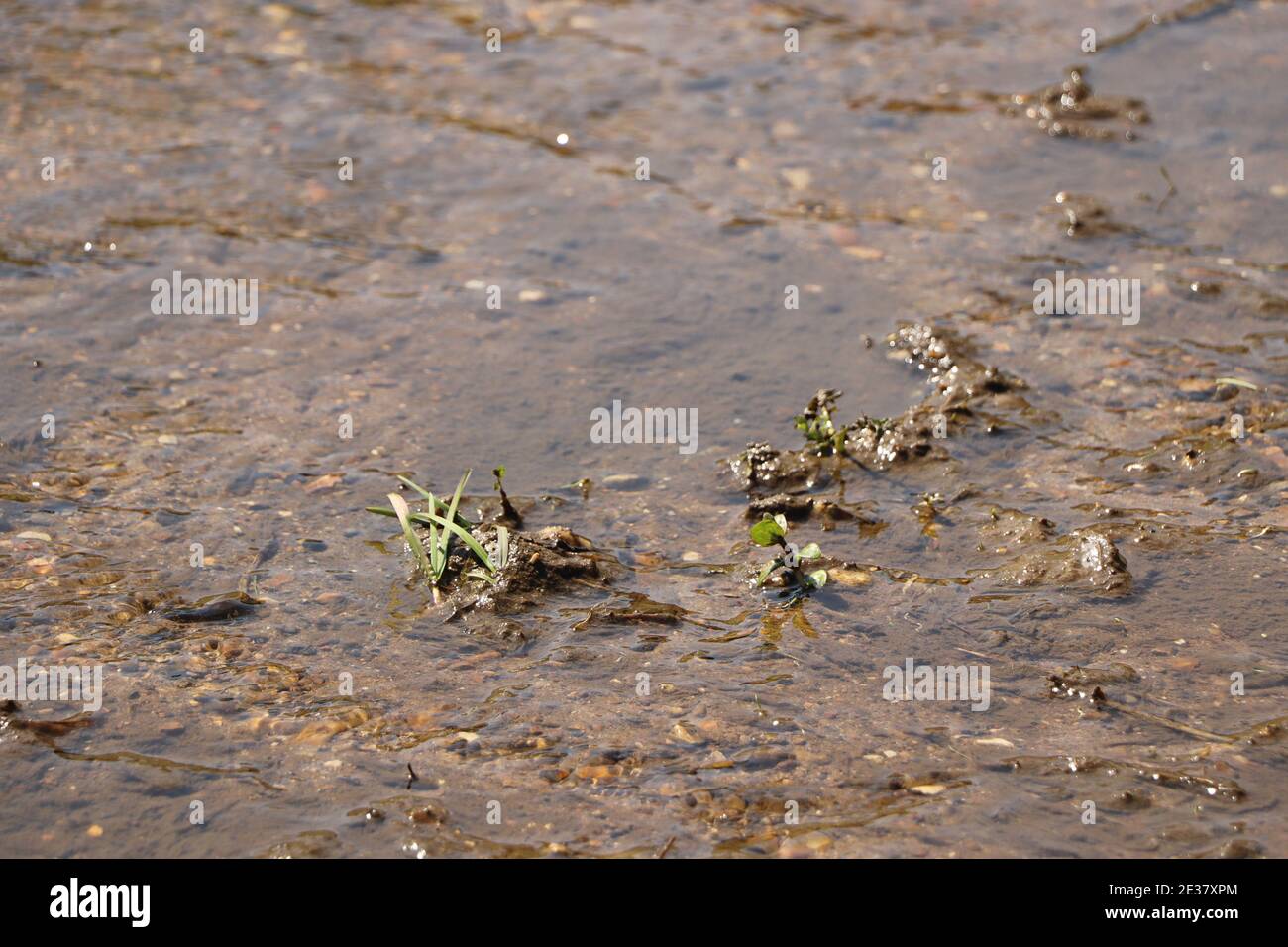 Ground level close up of mud and water sloshing down a stream Stock ...