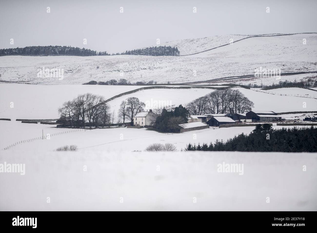 Staindrop, County Durham , UK. Thursday 7th January 2021: As more snow ...