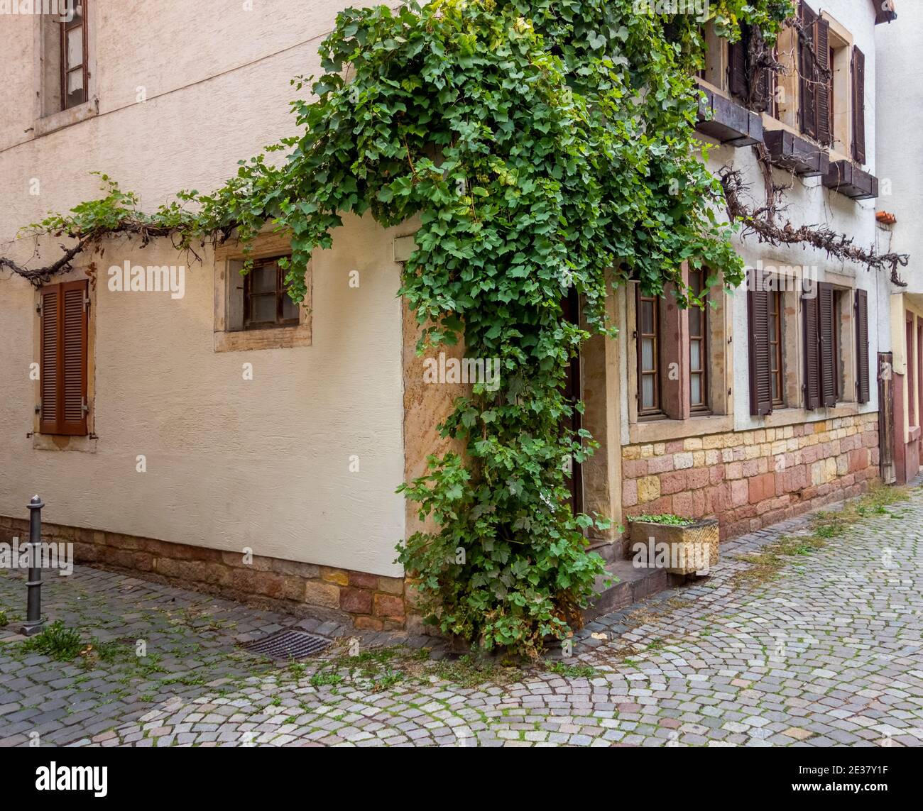 Grapevine house hi-res stock photography and images - Alamy