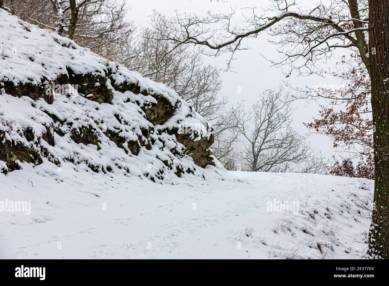 Rhine valley winter hi-res stock photography and images - Alamy