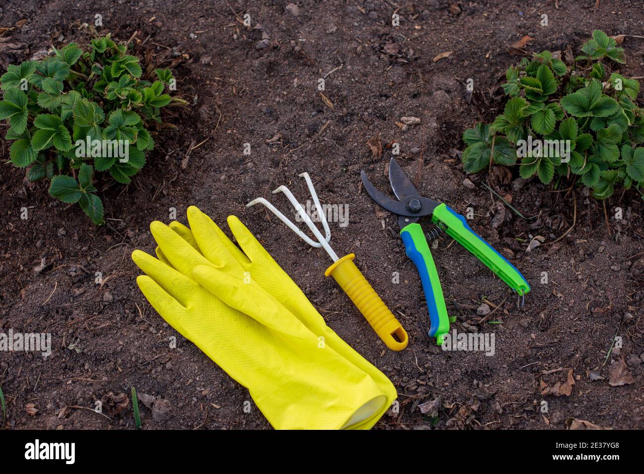 Yellow Rake High Resolution Stock Photography and Images - Alamy