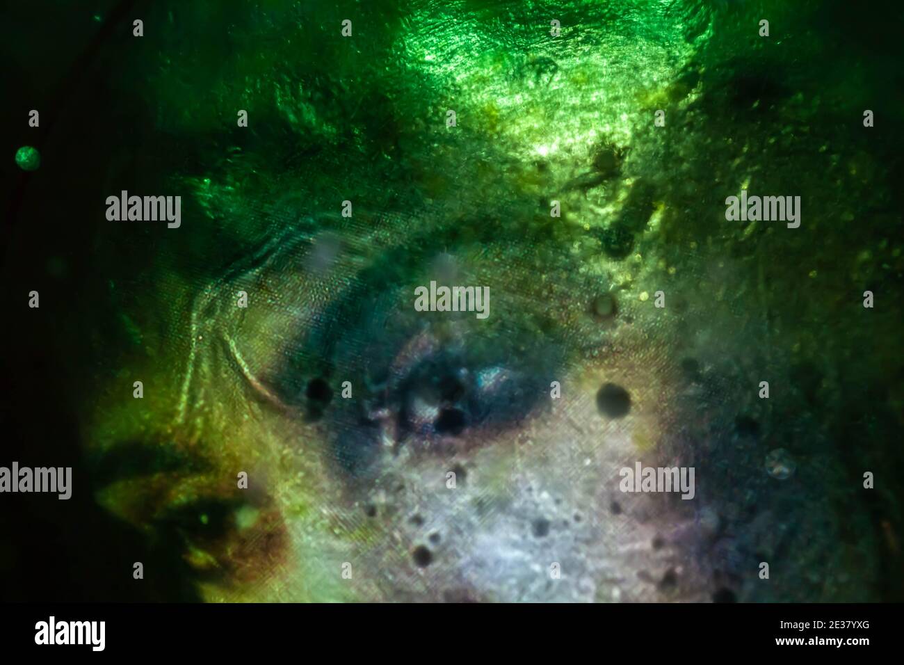 High resolution macro of a angled female face with green & black ...