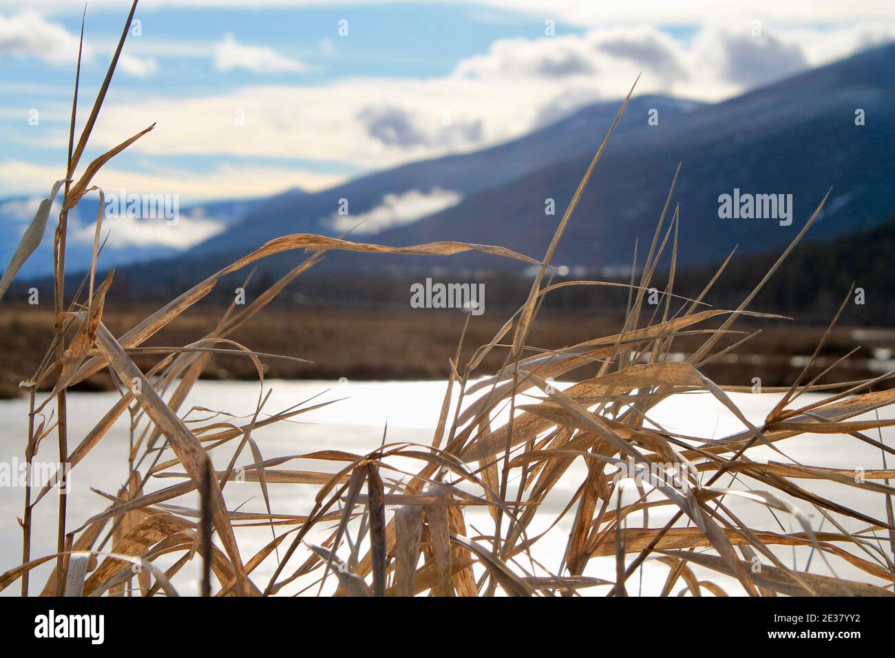Walk in the Creston Wildlife Center Stock Photo - Alamy