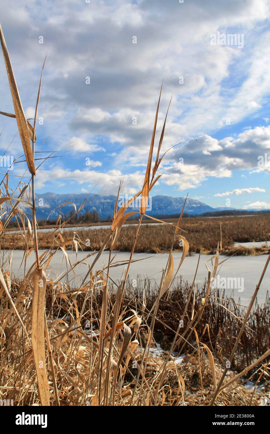 Walk in the Creston Wildlife Center Stock Photo - Alamy